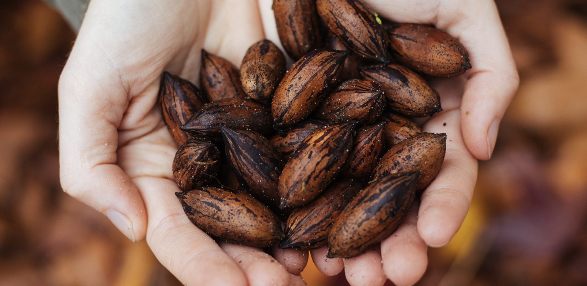 Premium Nuts, Trail Mixes & Baking Ingredients | Texas Star Nut